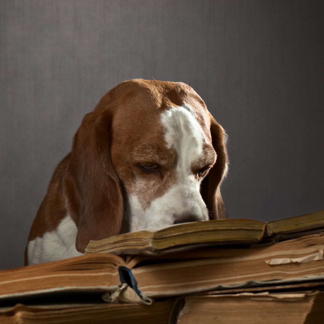 DARG Online Store | SCIENCE & REFERENCE – Domestic Animal Rescue Group