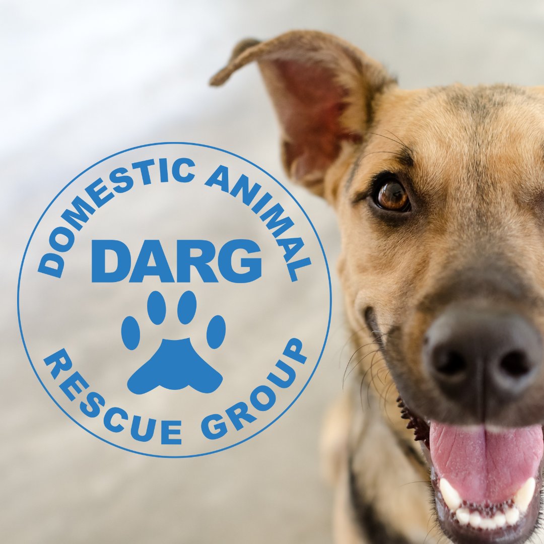 DARG Shop | Support The Paws – Domestic Animal Rescue Group