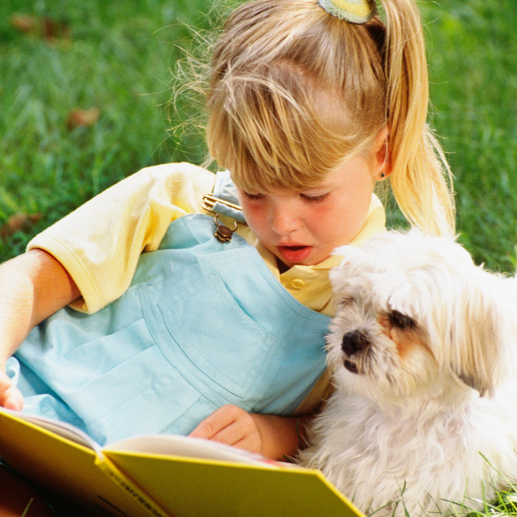 DARG Shop | Support The Paws – Domestic Animal Rescue Group