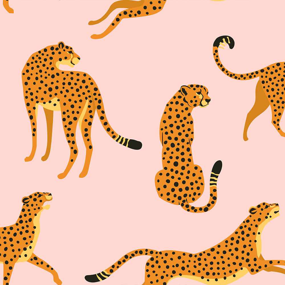 DARG Online Store | AFRICAN NON-FICTION – Domestic Animal Rescue Group