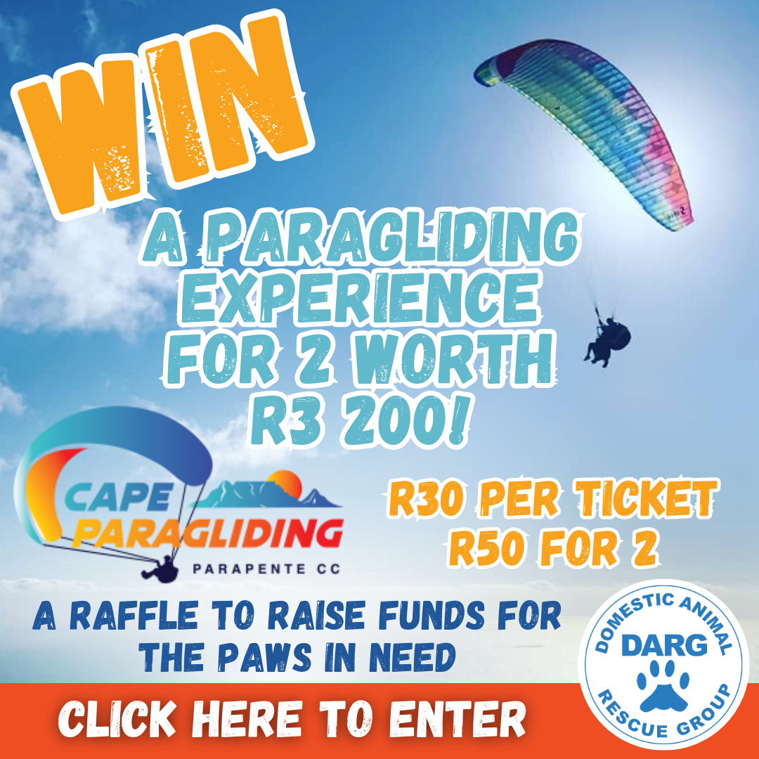 Domestic Animal Rescue Group: DARG | Cape Town