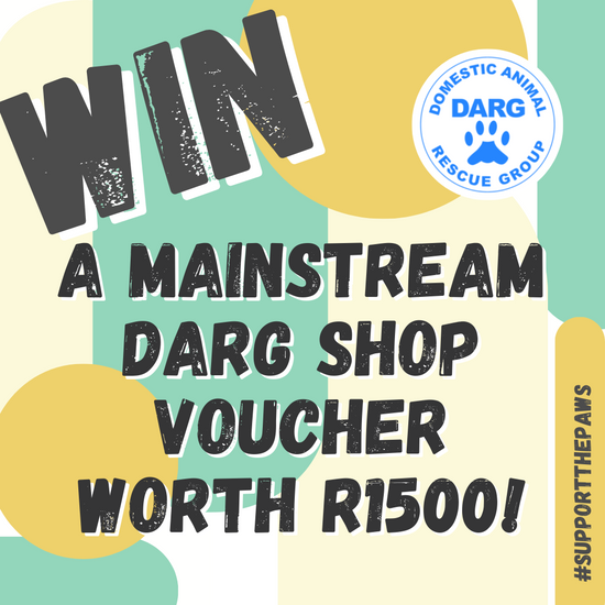 Domestic Animal Rescue Group: DARG | Cape Town