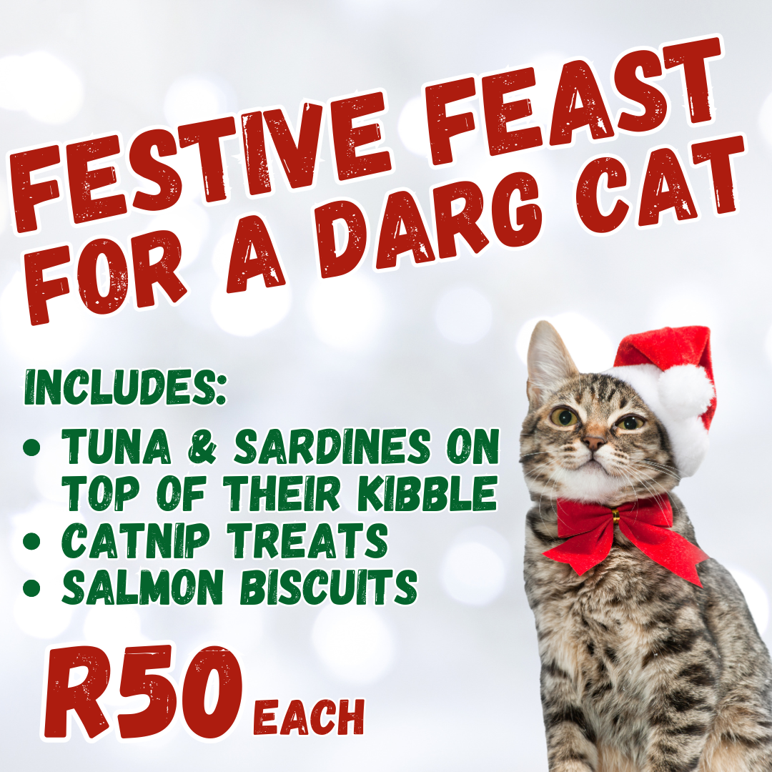DARG Shop | Support The Paws – Domestic Animal Rescue Group