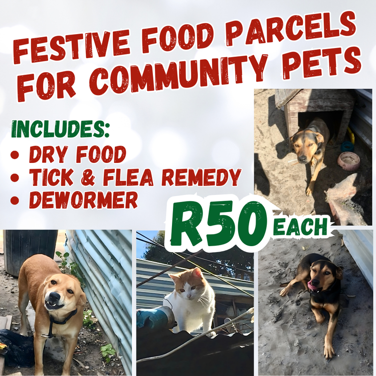 DARG Shop | Support The Paws – Domestic Animal Rescue Group