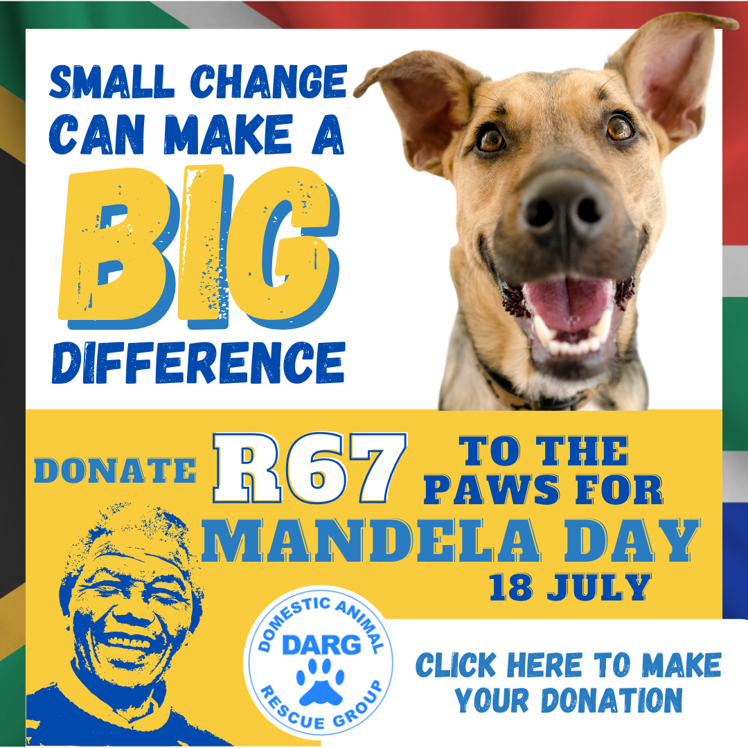 DARG Shop | Support The Paws – Domestic Animal Rescue Group