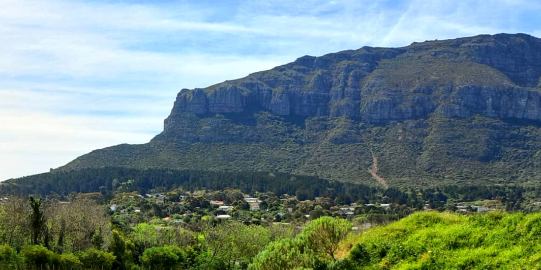 DARG Shop | Support The Paws – Domestic Animal Rescue Group