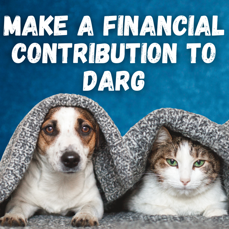 DARG Shop | Support The Paws – Domestic Animal Rescue Group